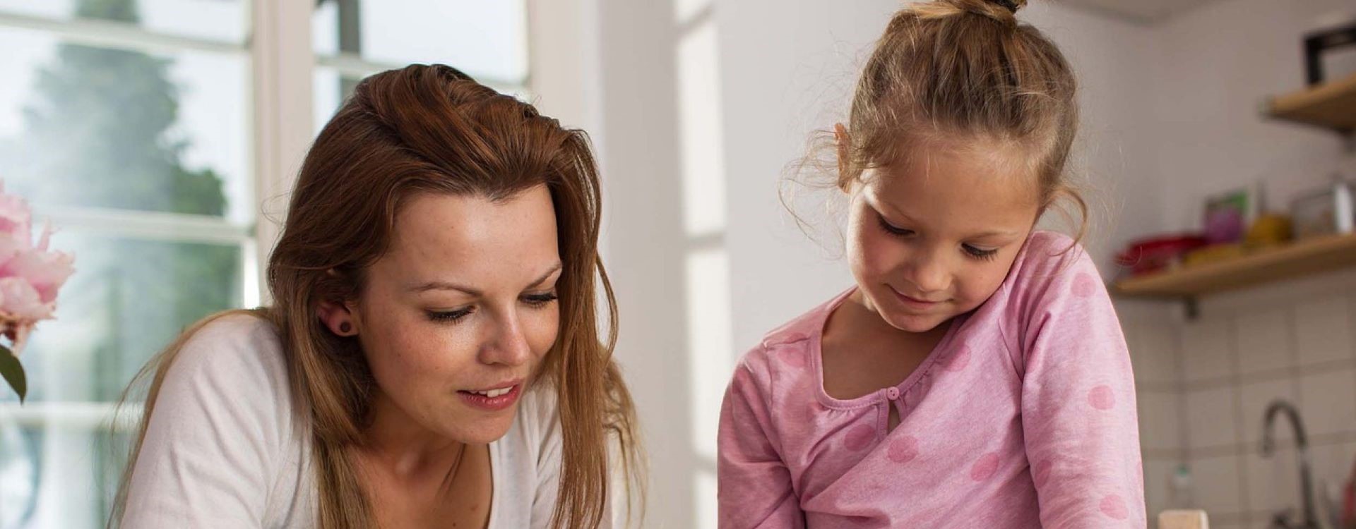 Family Partnership Framework for Integrated Family Literacy Planning ...