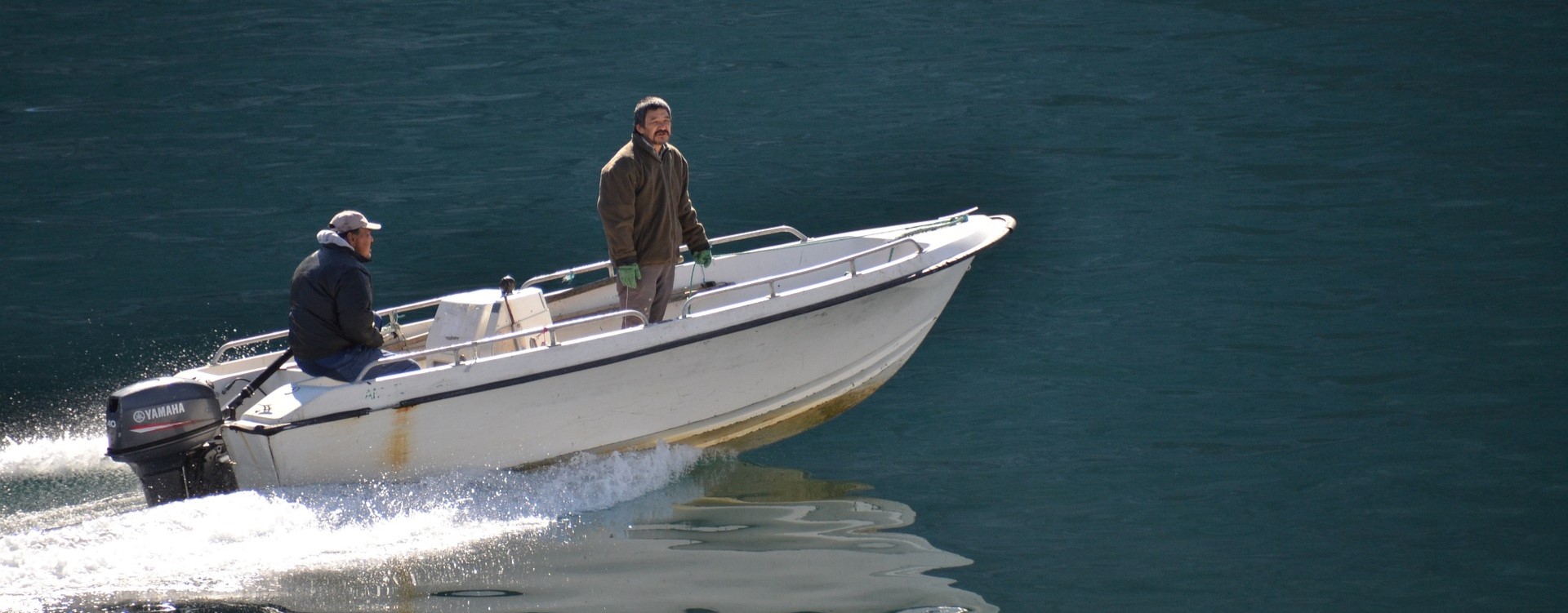 Phase 2 of the Full-Time Hunter/Harvester/Guardian Evaluation Framework ...