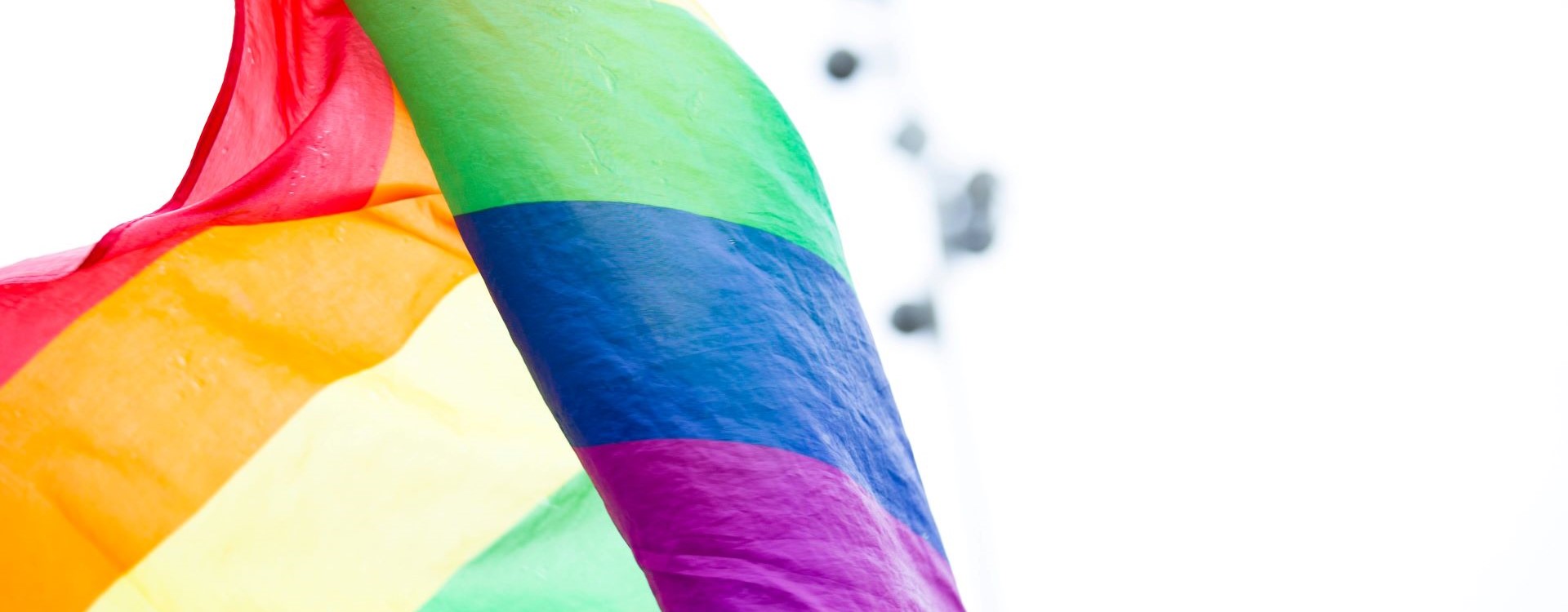 SRDC in the News - SRDC